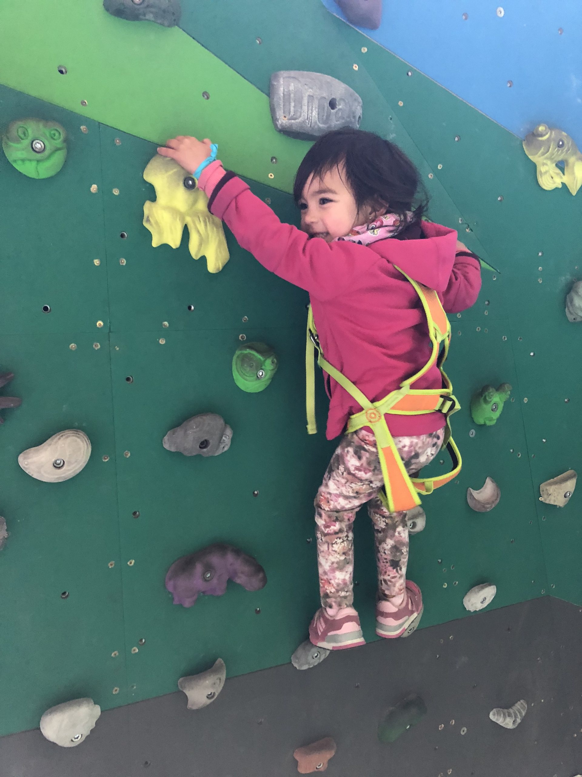 Beginner's Guide to Rock Climbing with Kids | Grow Adventures